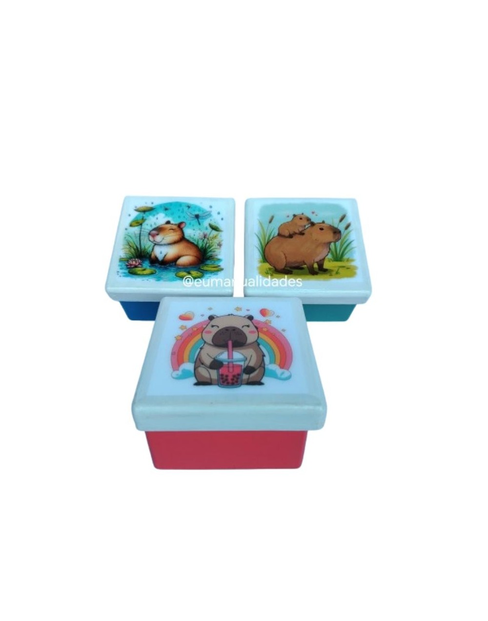 Caja mini capibara