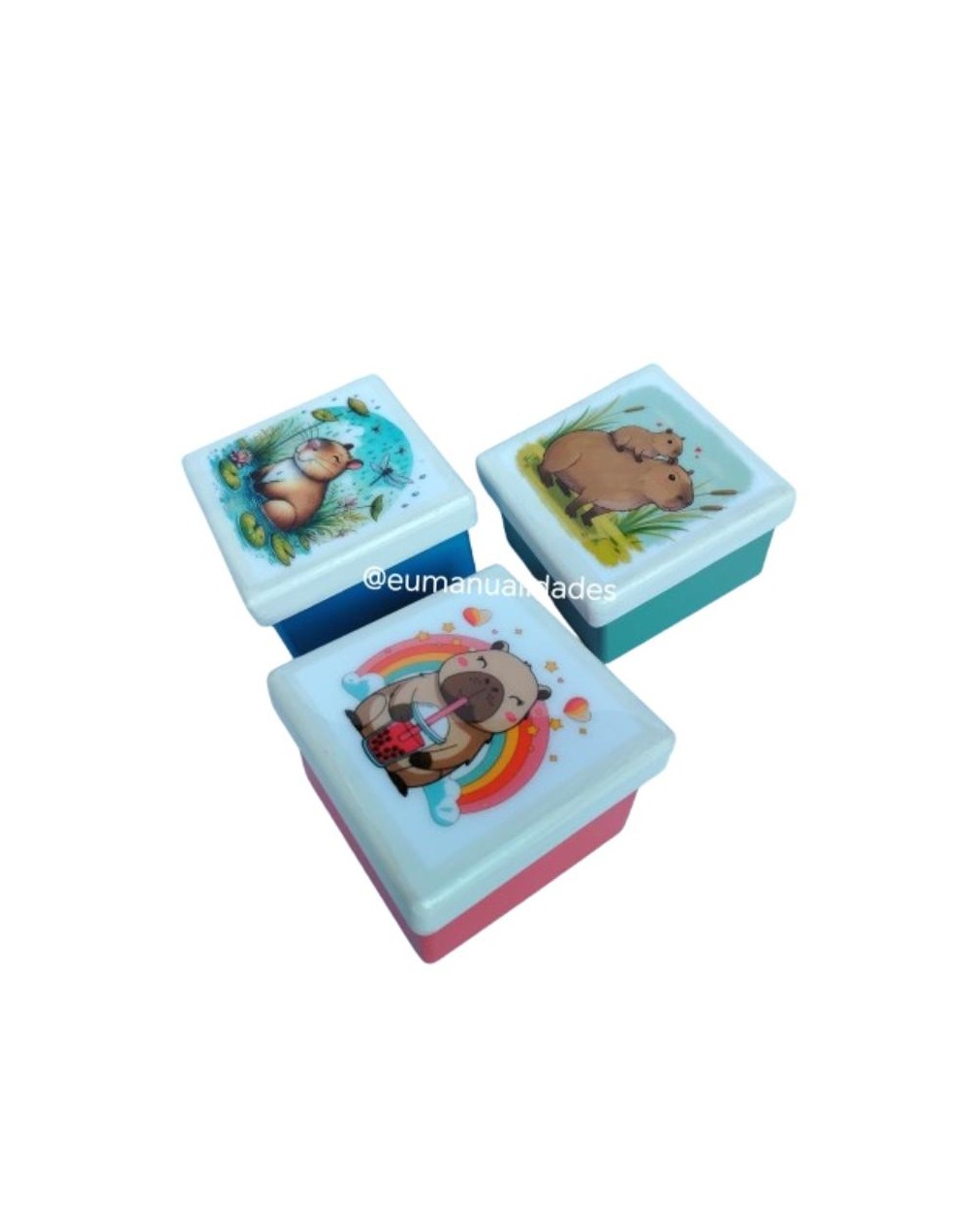 Caja mini capibara