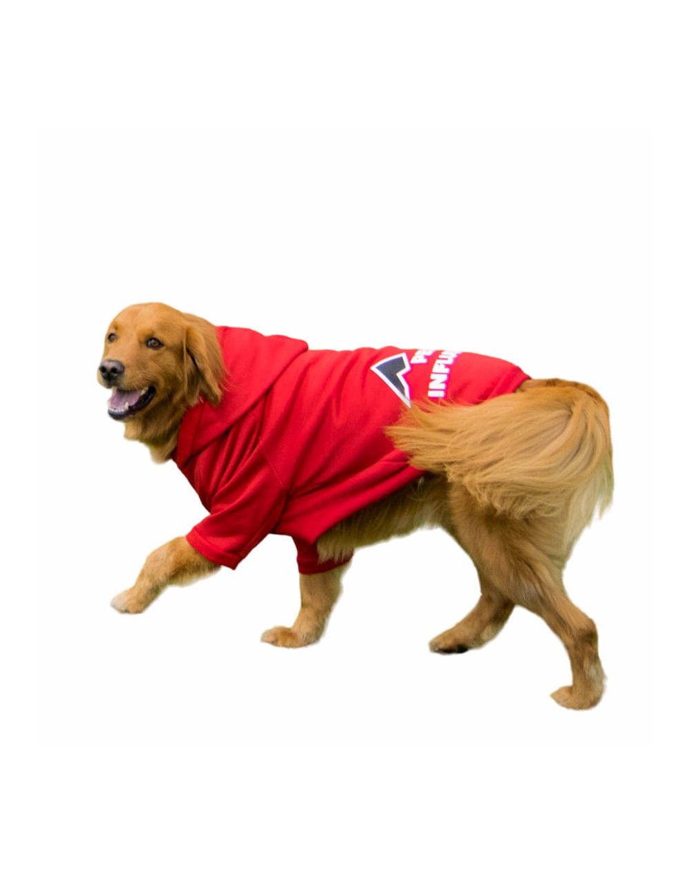 Buzo para perro influencer-rojo