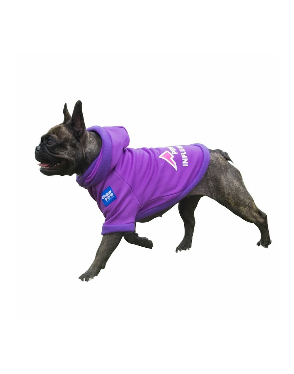 Buzo-para-perro-influencer-morado