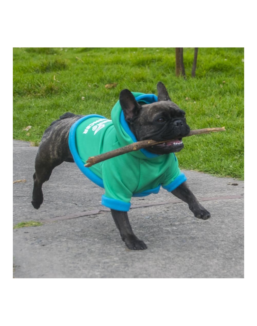 Buzo para perro influencer-verde