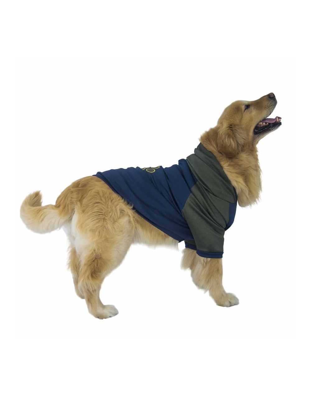 Buzo para perro capitan azul