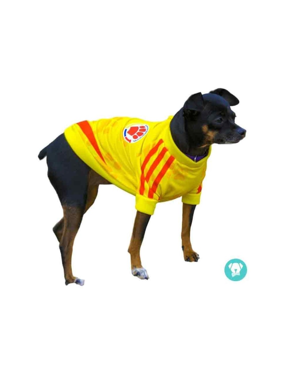 Camisetas de colombia para perros