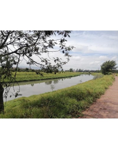 Aventura Sensorial: Sendero de los Sentidos en la Cuenca del Río Bogotá